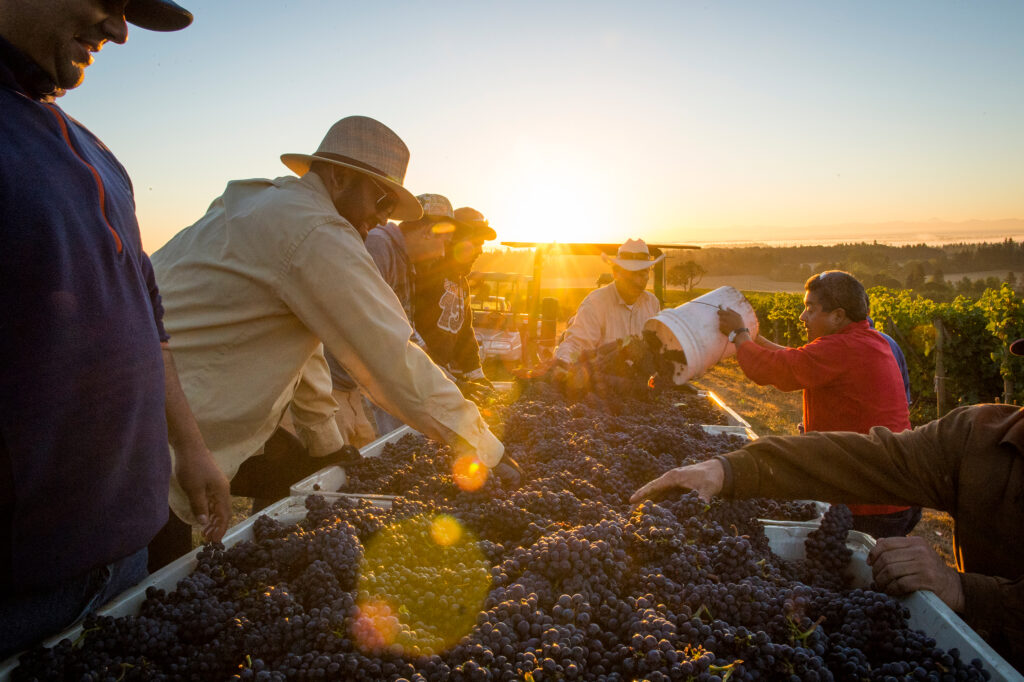 Willamette Valley - Oregon Wine Board