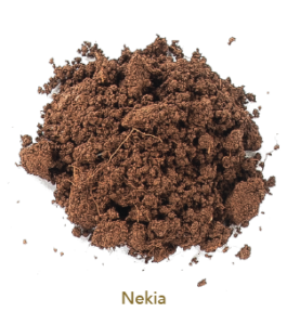 Southern Oregon AVA Wine Region | Oregon Wine