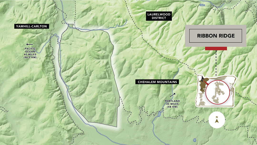Ribbon Ridge AVA Wine Region | Oregon Wine