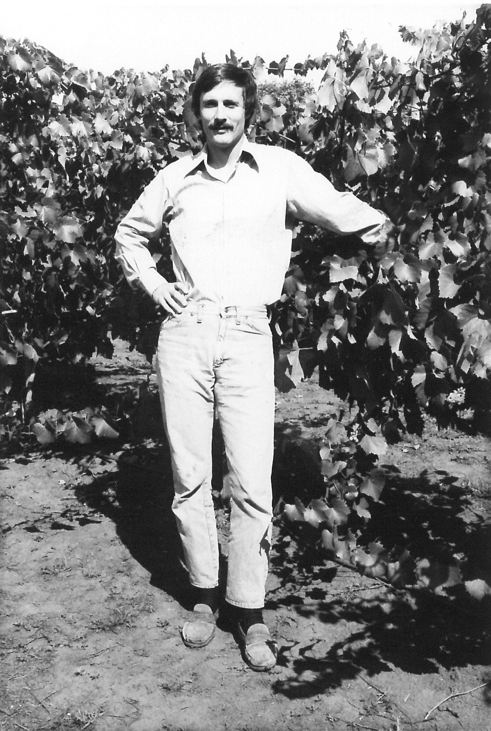 Sokol Blosser Winery - Oregon Wine Board