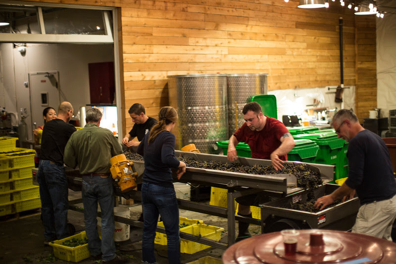ENSO Winery - Oregon Wine Board