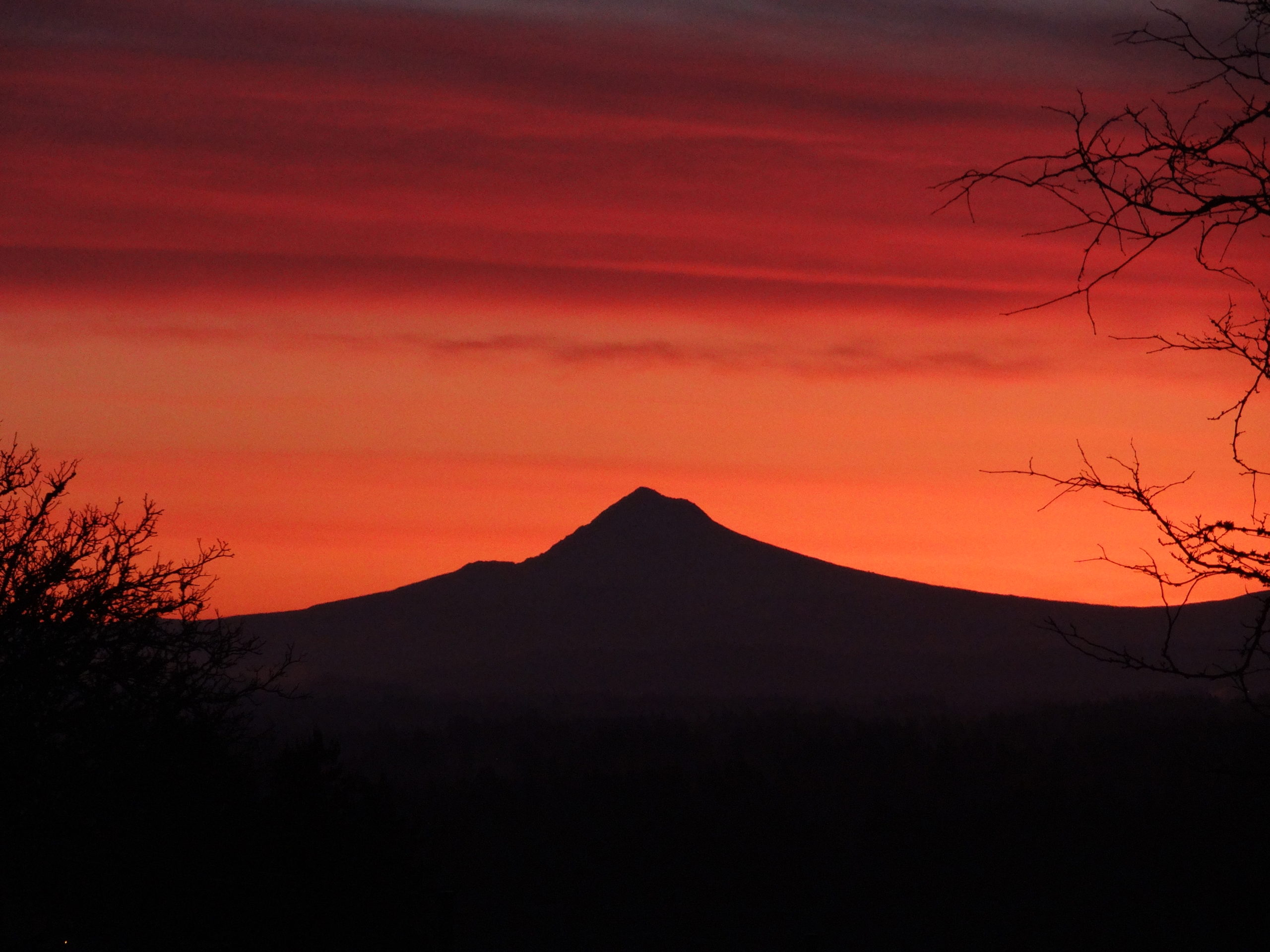 Ruby Vineyard & Winery - Oregon Wine Board