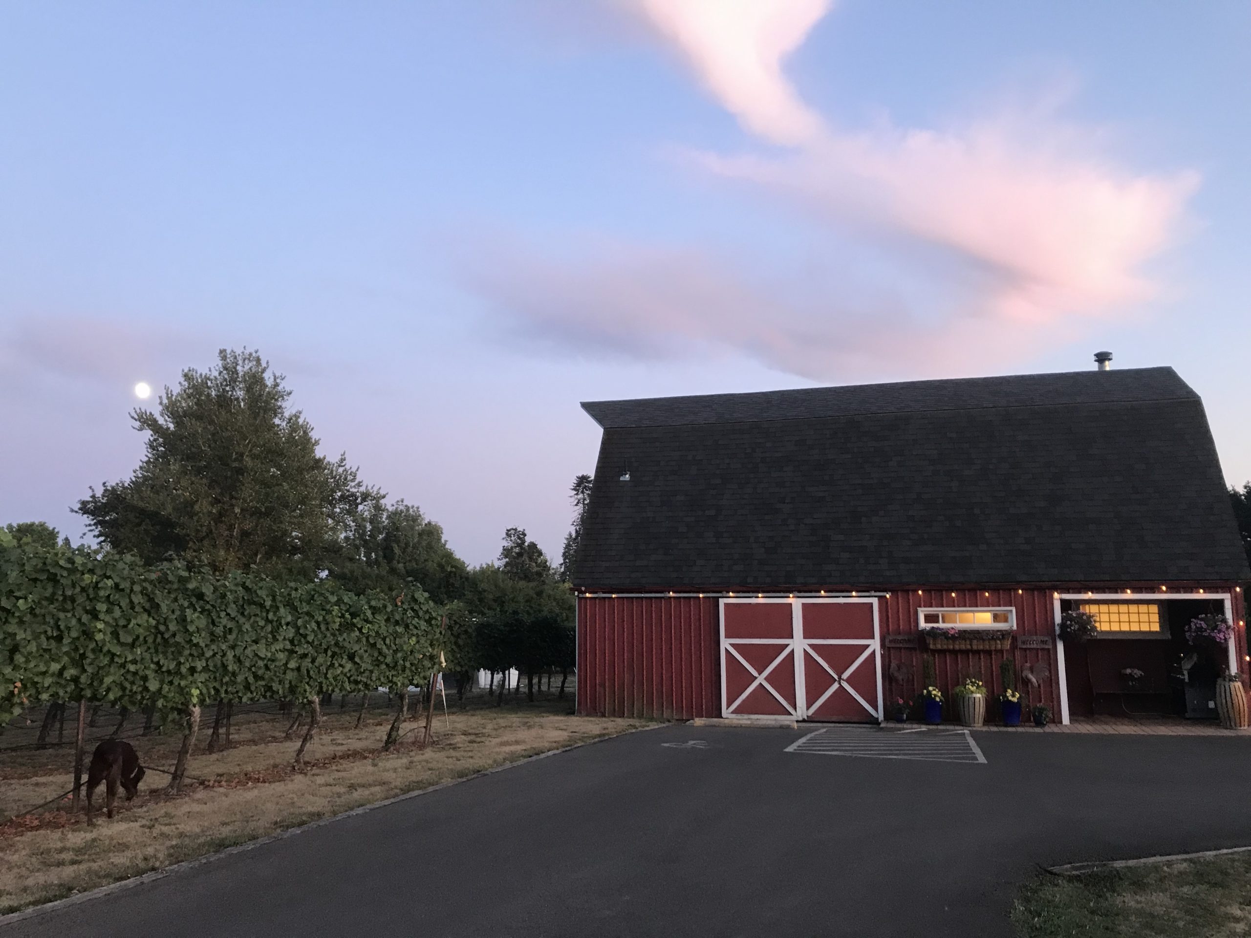 Pudding River Wine Cellars - Oregon Wine Board