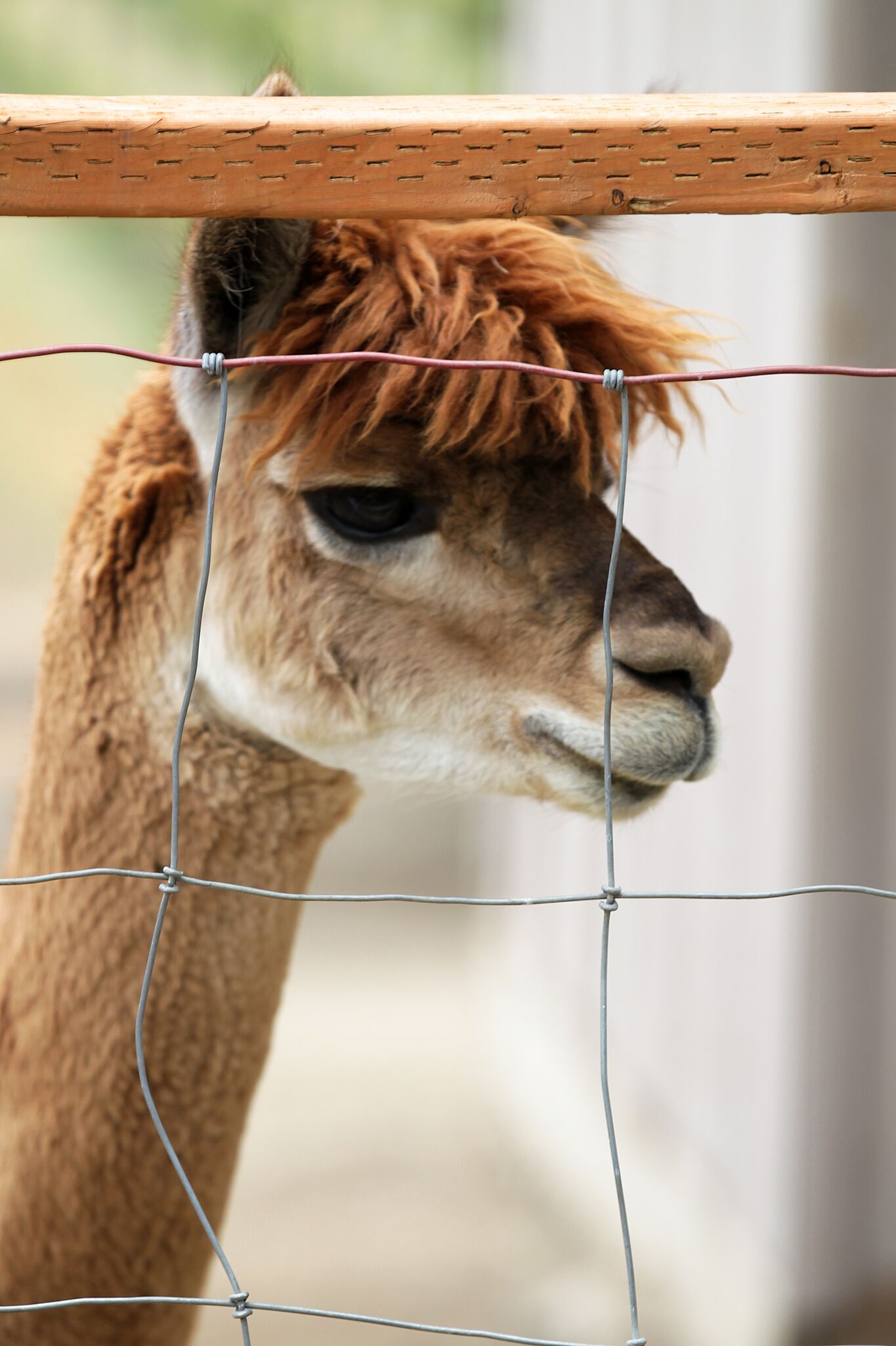 Rellik Winery - Oregon Wine Board