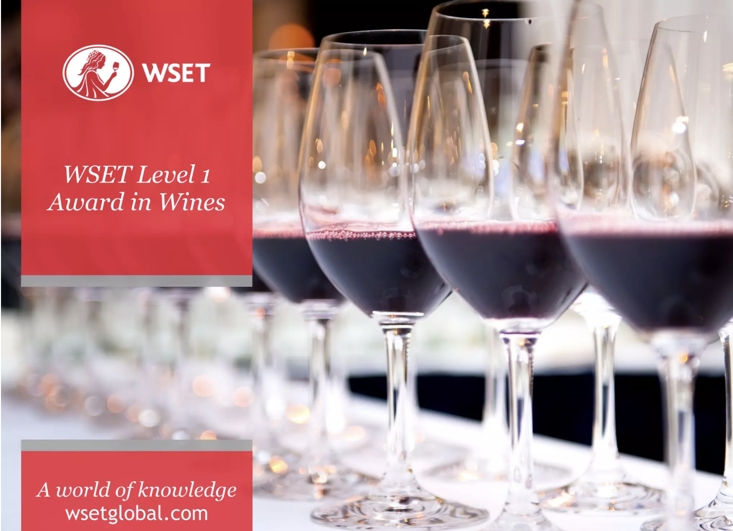 WSET Level 1 Award in Wines - One Day Course - Oregon Wine Board